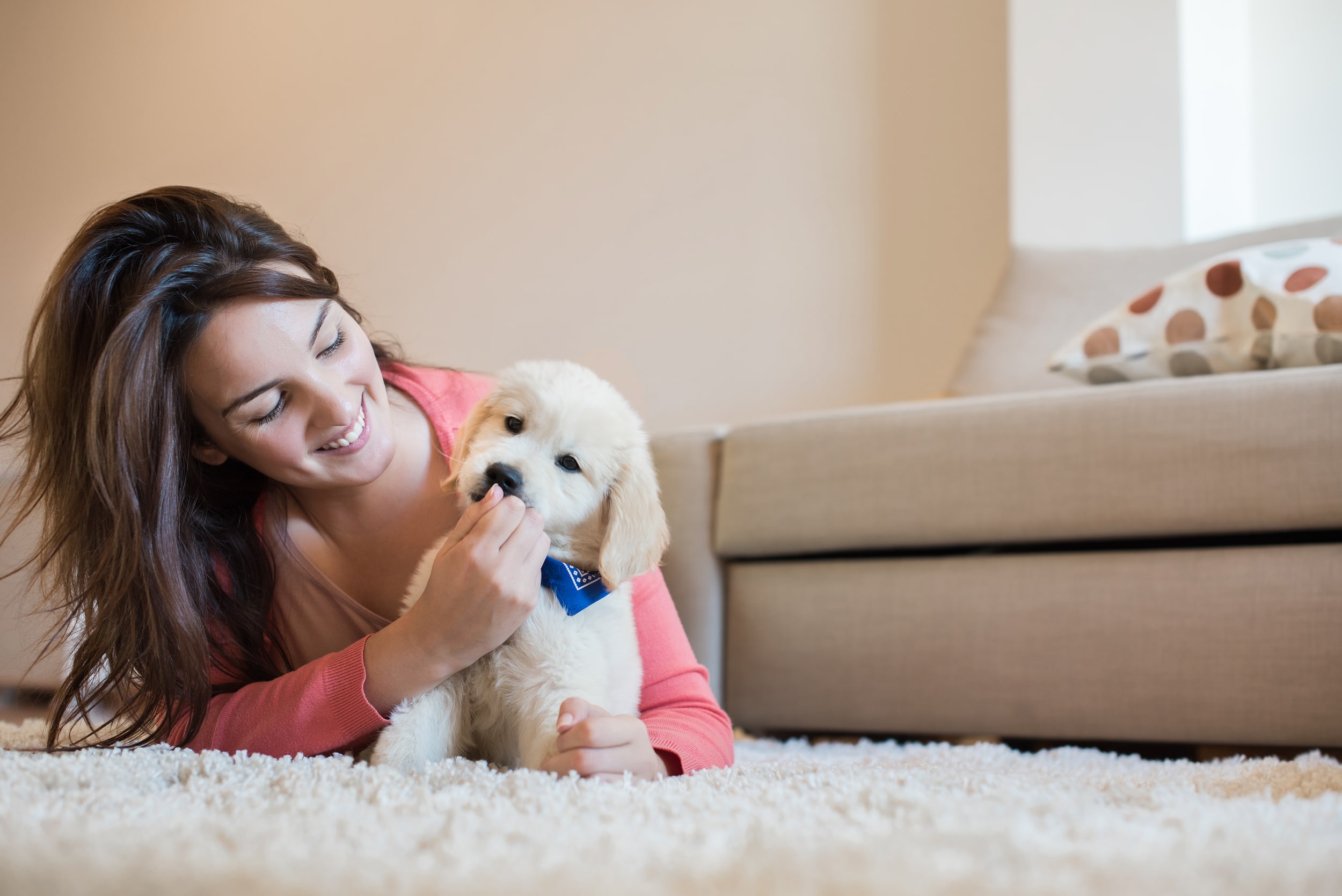 All About Puppy Behavior Stages - What to Expect - Latchkey Pets